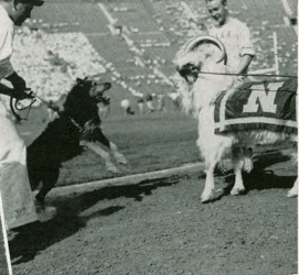 If It’s Friday, It’s Time For A USC Notes Column – InsideUSC with Scott ...